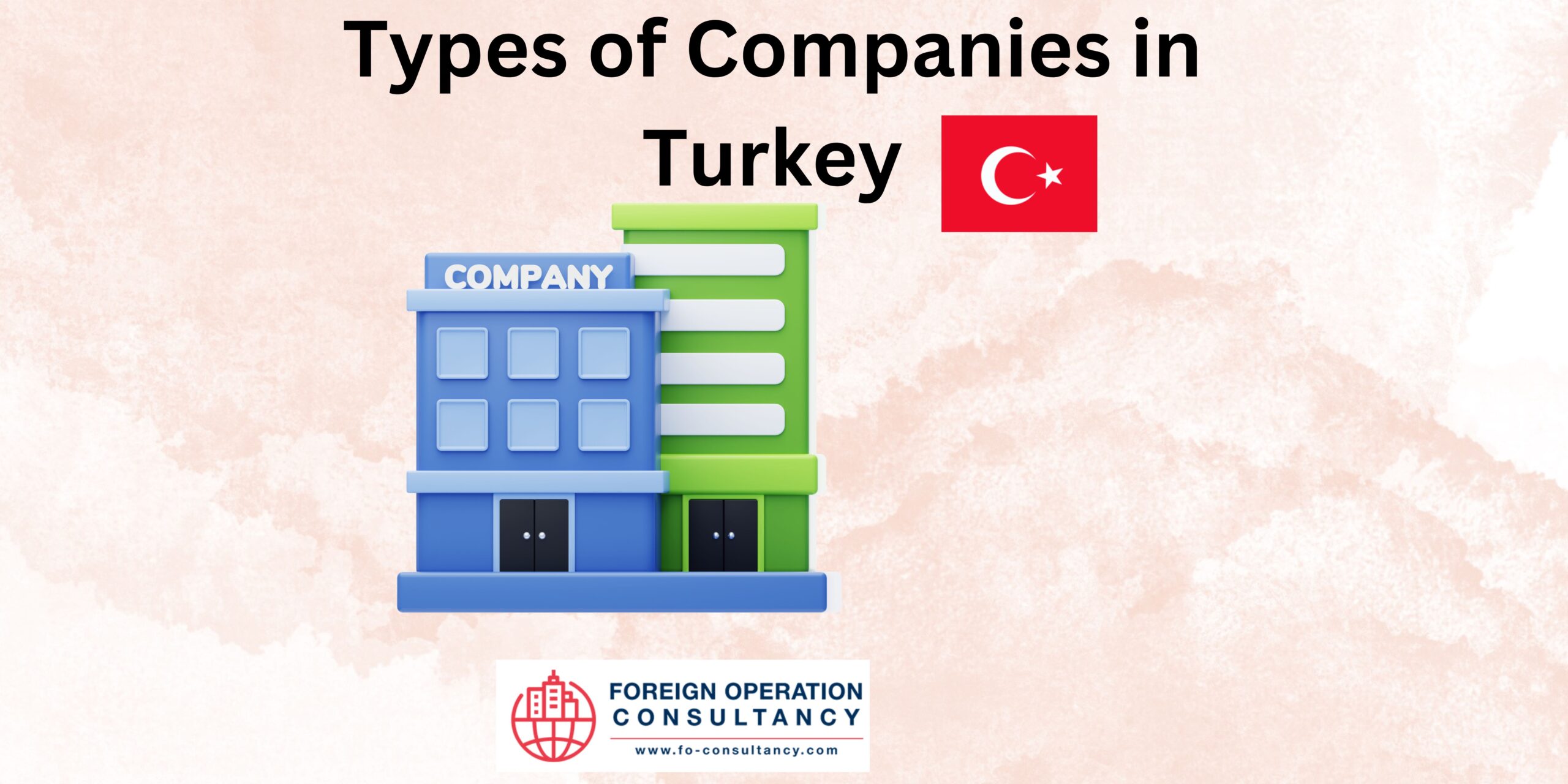 Types of Companies in Turkey: The Complete Guide for Investors (2025) | FOC